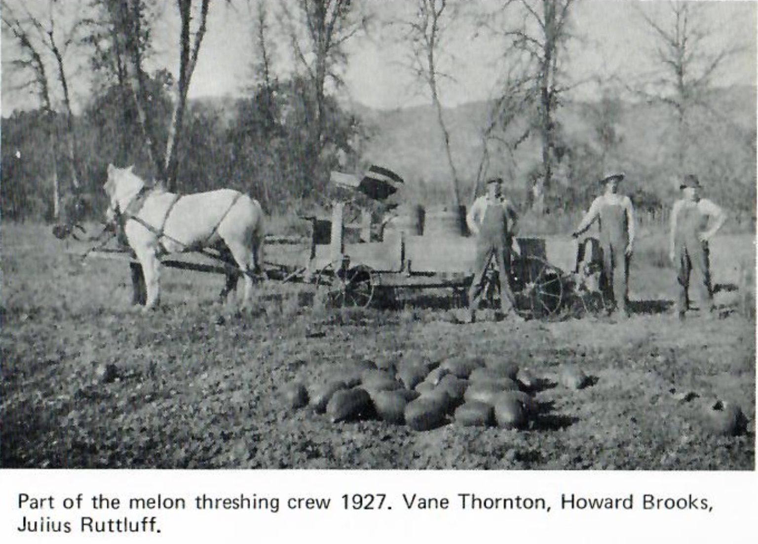 Joseph Thomas Thornton